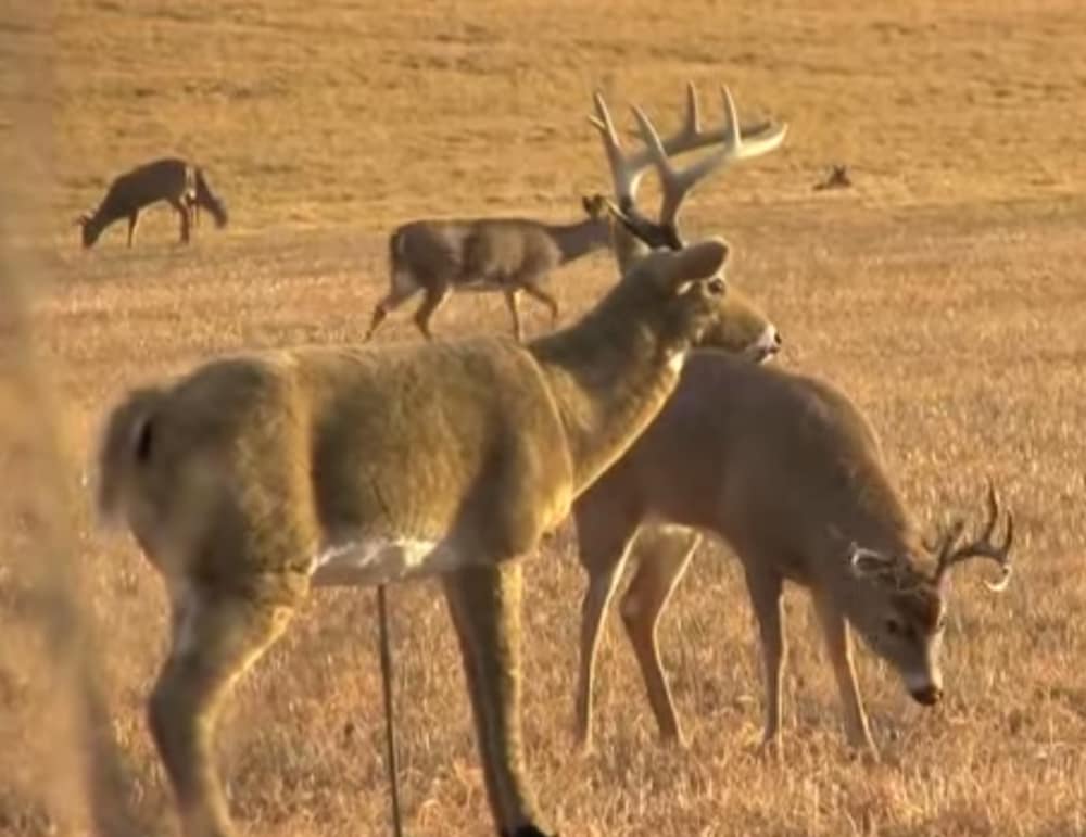 Video: 6 of the Greatest Hunting Fails Ever Recorded | OutdoorHub