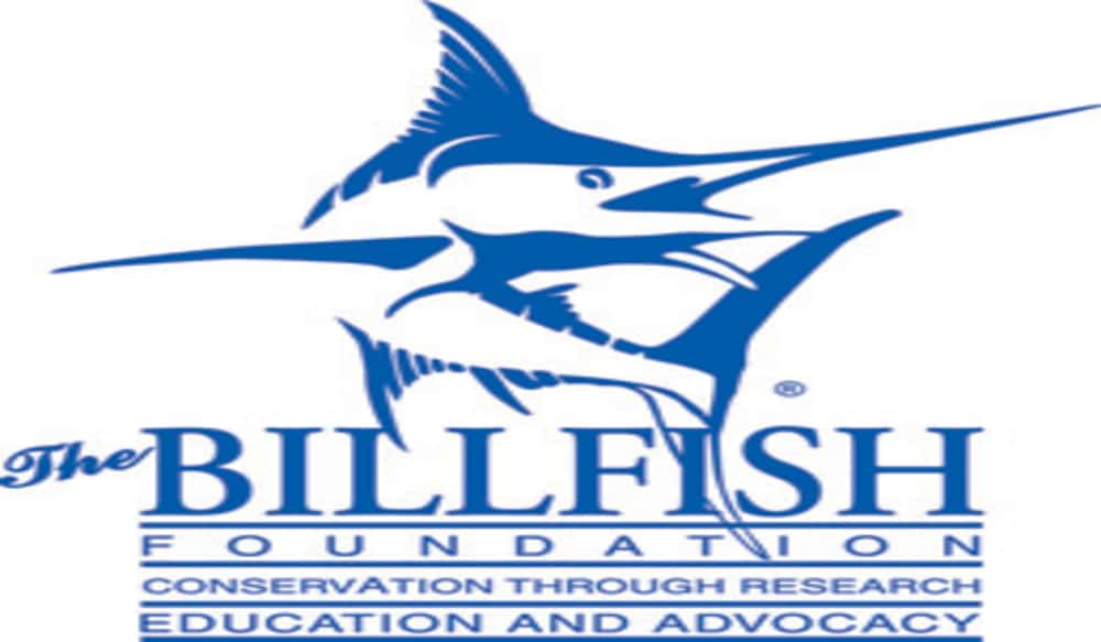 The Billfish Foundation Awards 46 International Tag and Release Winners ...