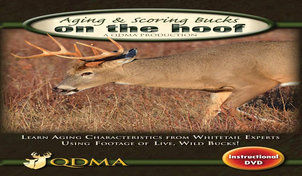 QDMA Offers New "Aging & Scoring Bucks On The Hoof" DVD | OutdoorHub