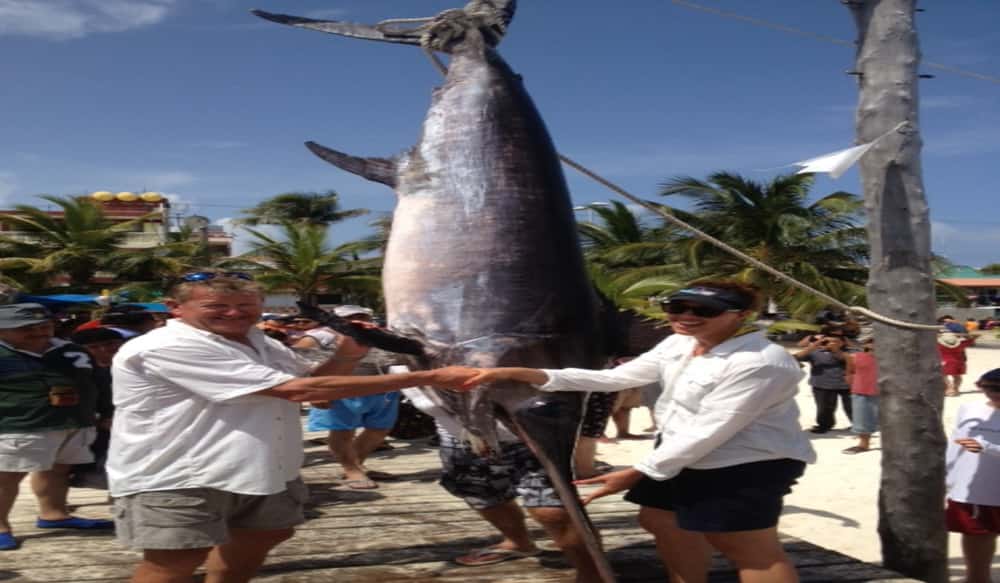 Daughter of Guy Harvey Catches Mammoth 600-Plus Pound Swordfish ...