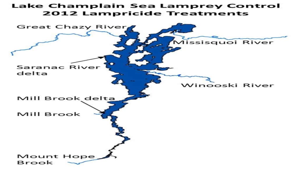 Lake Champlain Fish and Wildlife Management Cooperative Will Treat Five ...