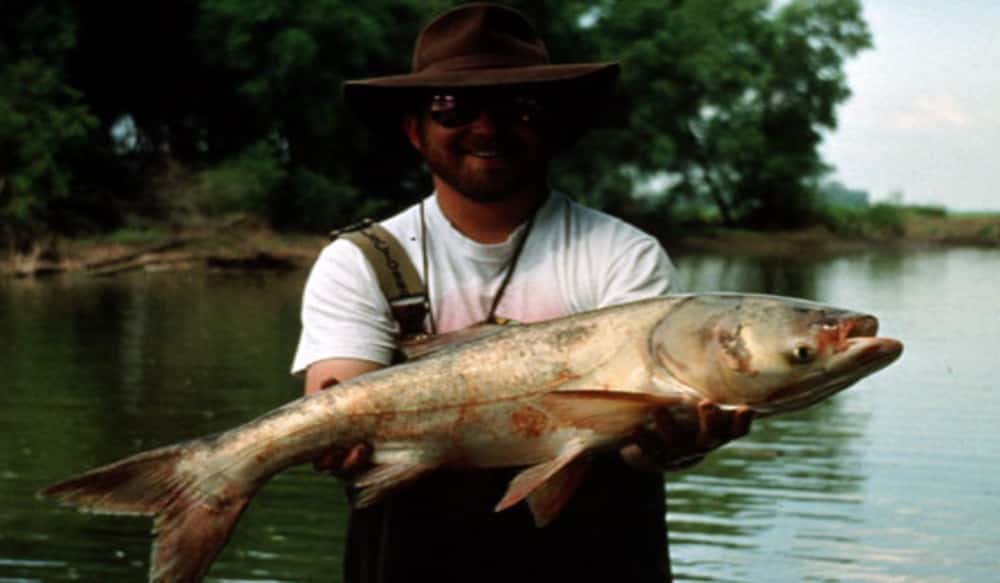 Kentucky’s Carp Madness Tournament Takes the Fight to Invasive Species ...