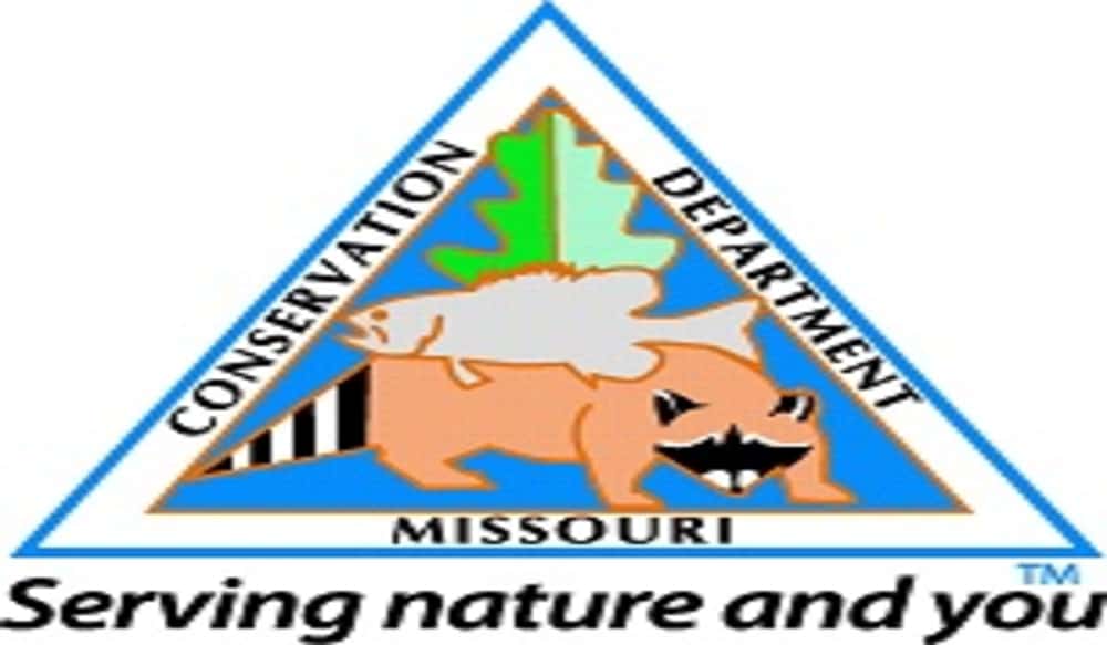 Missouri Conservation Department Makes Finding Doves Easy | OutdoorHub