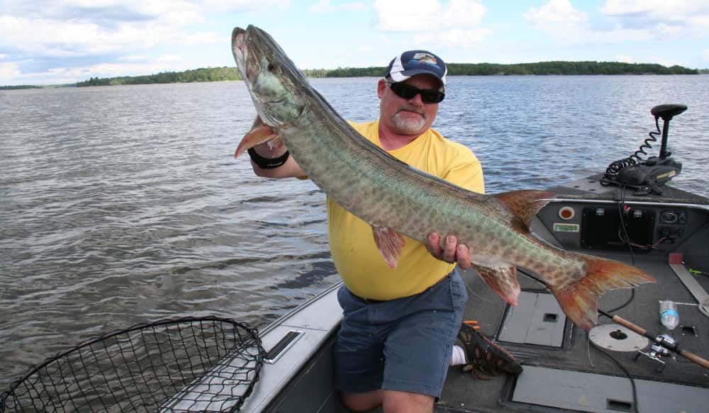 Summertime Muskie Fishing Strategies | OutdoorHub