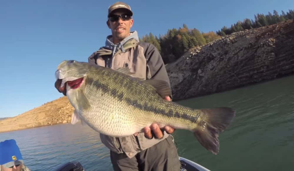 Video: Reeling in a Potential World Record Spotted Bass | OutdoorHub