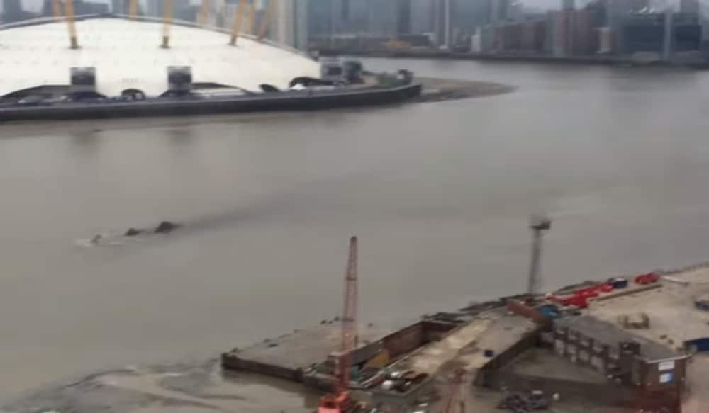 Video: Large Mysterious Object Spotted in the River Thames | OutdoorHub