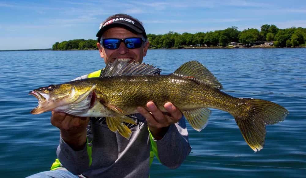 Hunt the Edges for Summer Walleyes | OutdoorHub