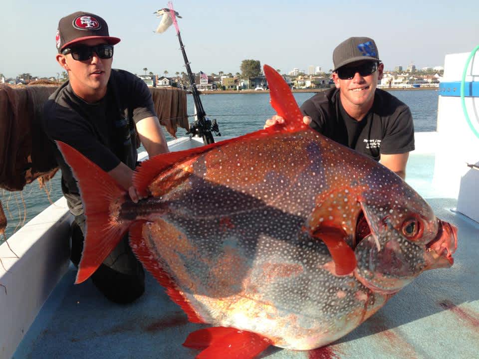 California Anglers Hook Rarely Caught 125-pound Opah | OutdoorHub