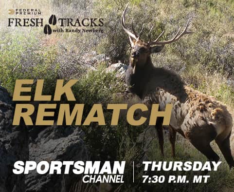 New Mexico Elk Rematch on This Week’s Federal Premium’s Fresh Tracks ...