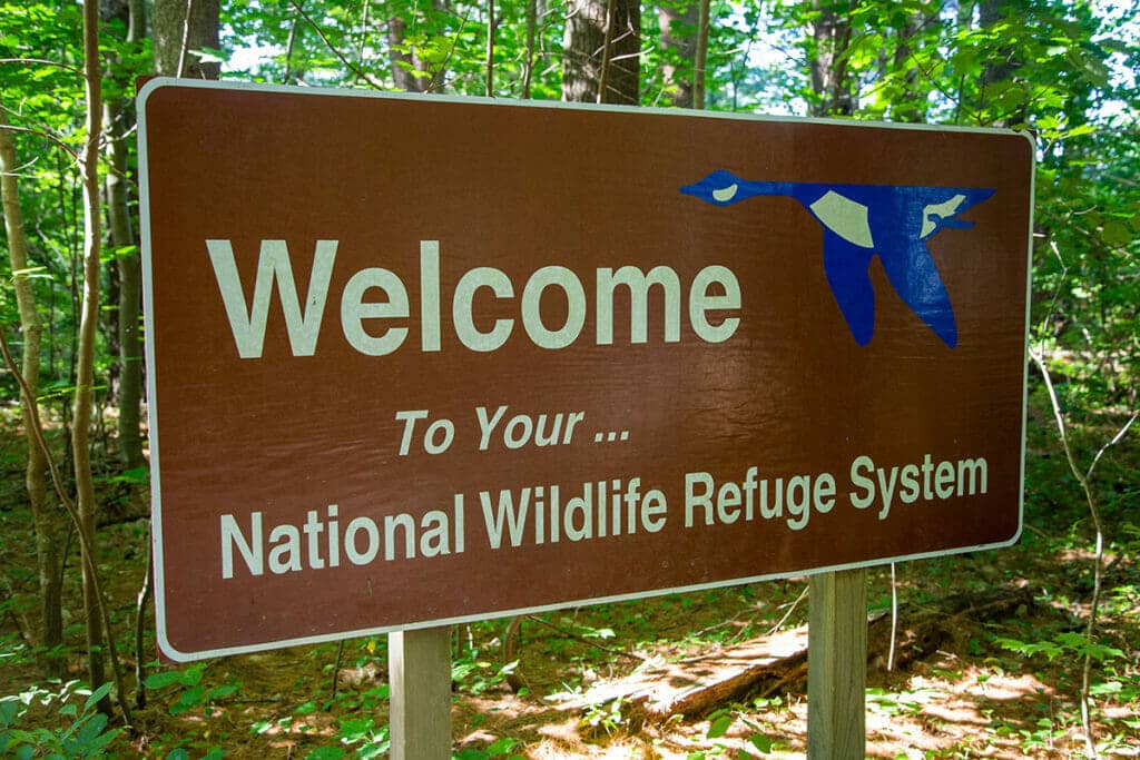 National Wildlife Refuges to Open 87,000 New Acres for Hunting and ...
