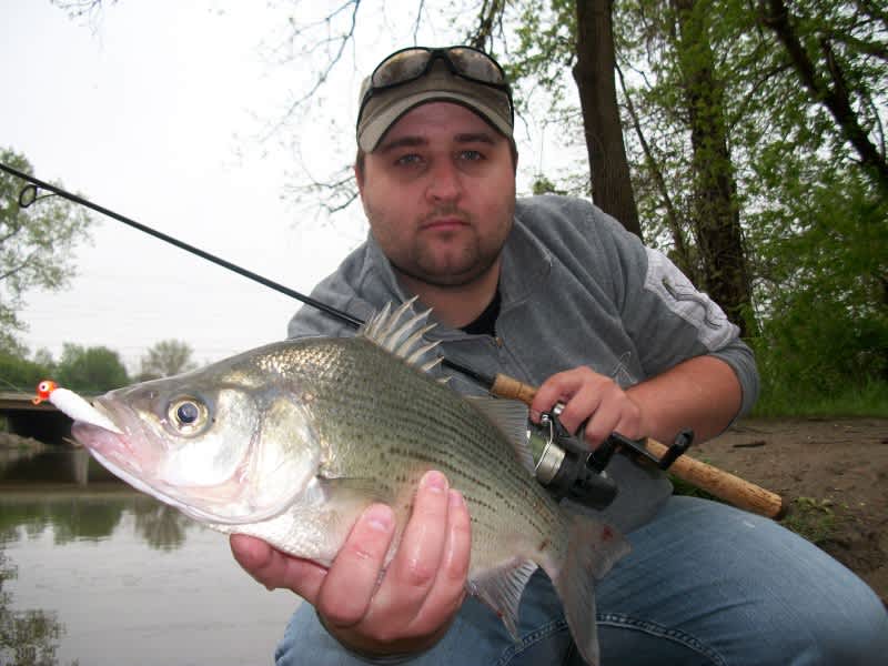 White Lighting - How to Catch White Bass | OutdoorHub