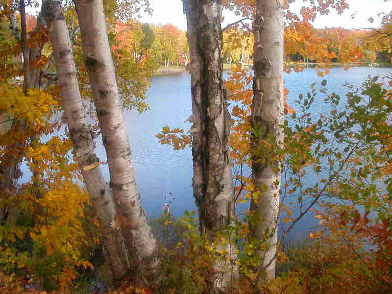 Learn About Creatures Lakes And Critters At P J Hoffmaster State Park s Nature Programs learn-about-creatures-lakes-and-critters-at-p-j-hoffmaster-state-park-s-nature-programs