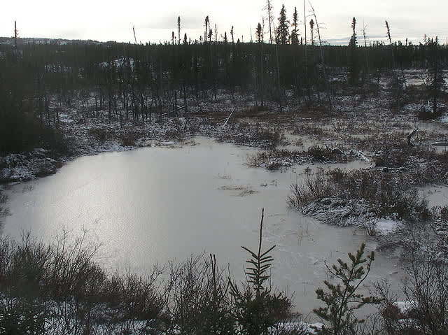 The Swamp: A Deer Hunting Story | OutdoorHub