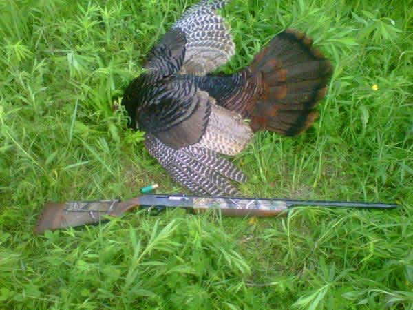 A No Plucking Way to Dress Out a Whole Turkey | OutdoorHub