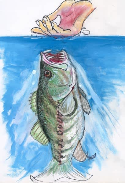 Bass Attacks Fisherman and Gets Caught | OutdoorHub