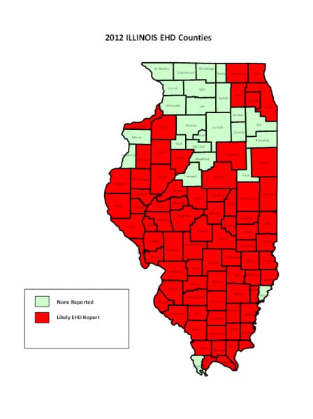 Illinois Epizootic Hemorrhagic Disease (EHD) Update | OutdoorHub