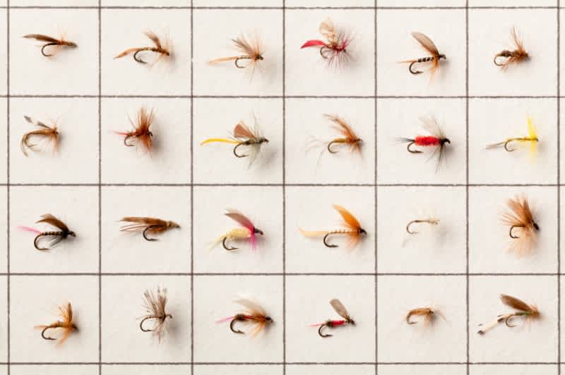 The World's Best Fly | OutdoorHub