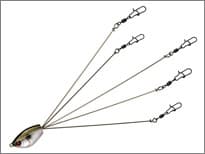 Arkansas GFC Looking for Feedback on Alabama Rig | OutdoorHub