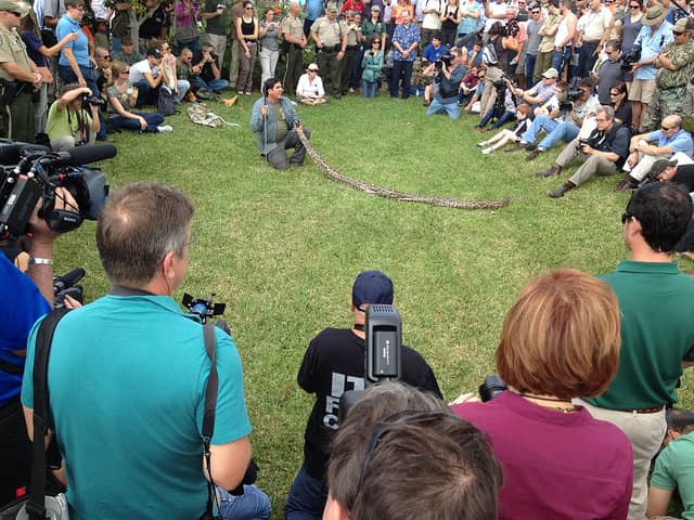 Florida WC Kicks Off 2013 Python Challenge | OutdoorHub