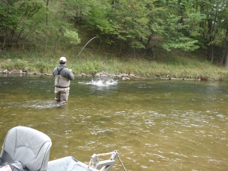 Michigan's Top Steelhead Spots | OutdoorHub