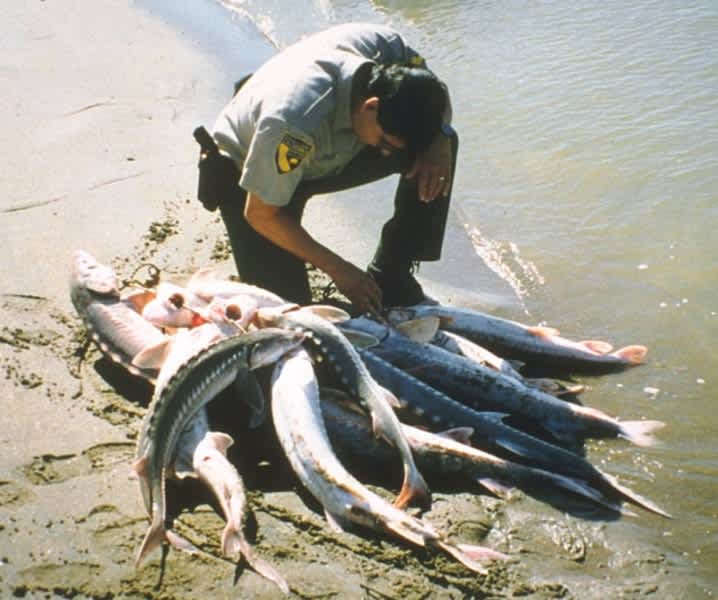 Ride-along with a California Game Warden | OutdoorHub