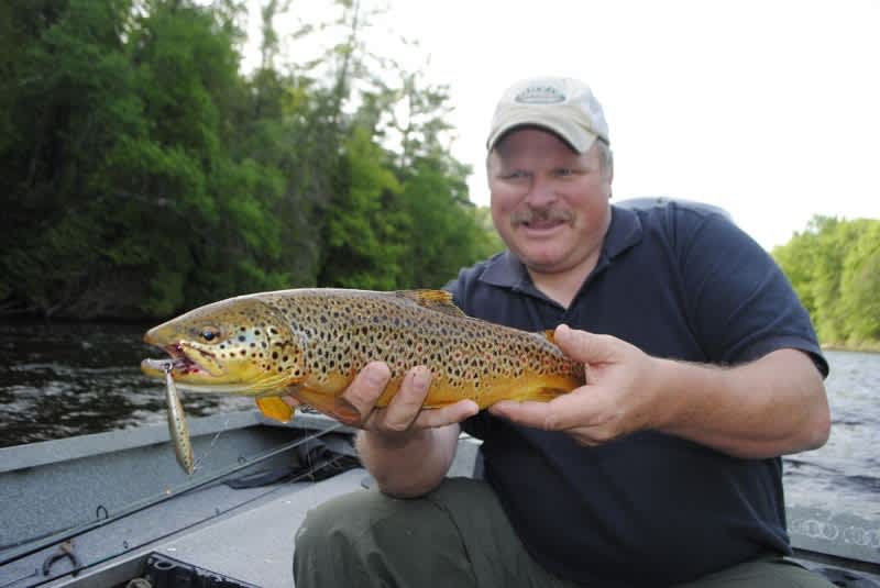 Michigan Brown Trout on the Muskegon River | OutdoorHub