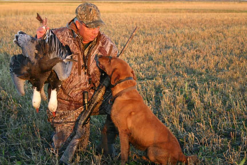 Why You Should Use an Outfitter for Spring Waterfowl Hunting | OutdoorHub