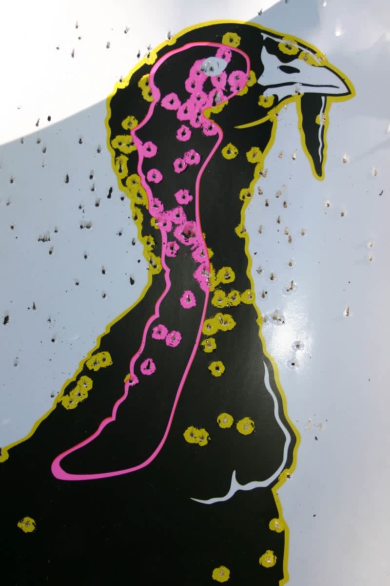 Selecting the Best Turkey Choke for Your Shotgun | OutdoorHub