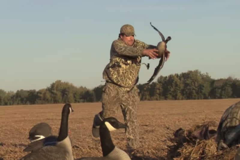 The 5 Luckiest Bird Hunters Caught on Video | OutdoorHub