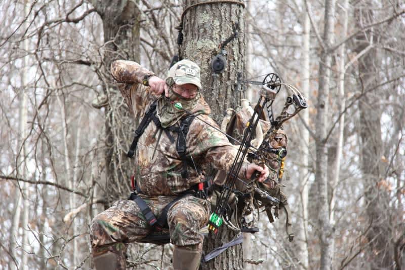 The Traveling Hunter’s 6 Rules for Trimming Shooting Lanes | OutdoorHub