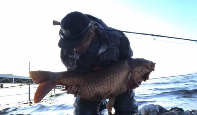 New South Dakota Common Carp State Record & Possible New Fly Fishing ...