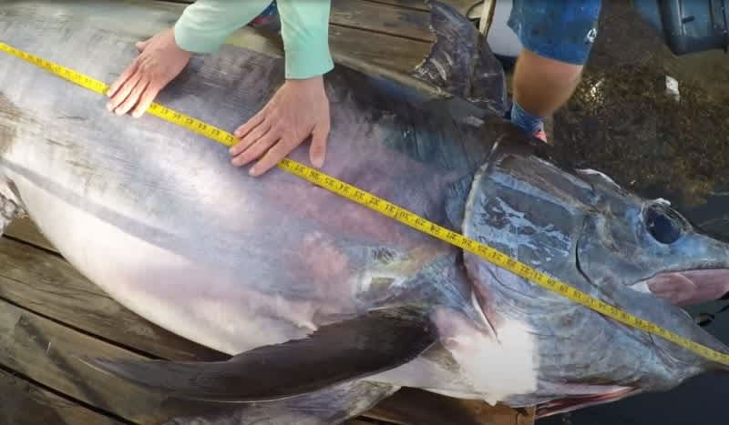 Remember This Massive 757-lb Broadbill Swordfish Landed in Florida ...