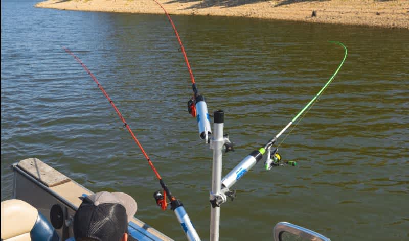 Reel In the Fish with the Millennium Marine Rod Tree and Rod Pod